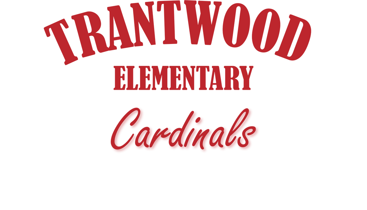 Trantwood Elementary School – Fidgety